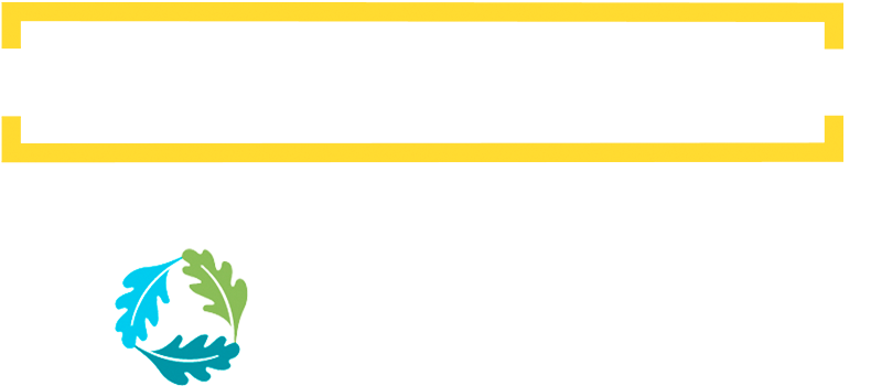 Carousel Preview - Mass Timber+